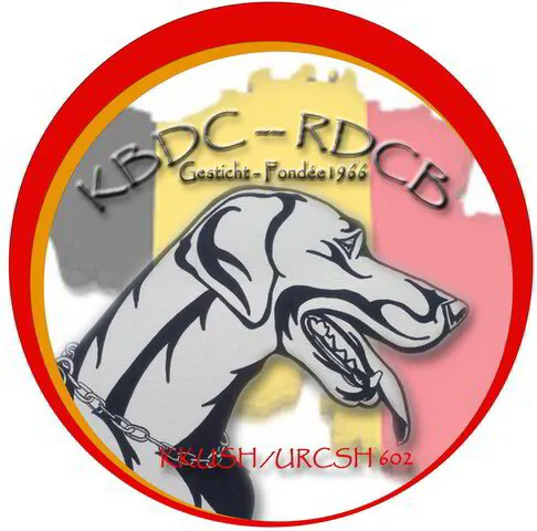 Koninklijke Belgische Dobermann Club - Dobermann - KBDC