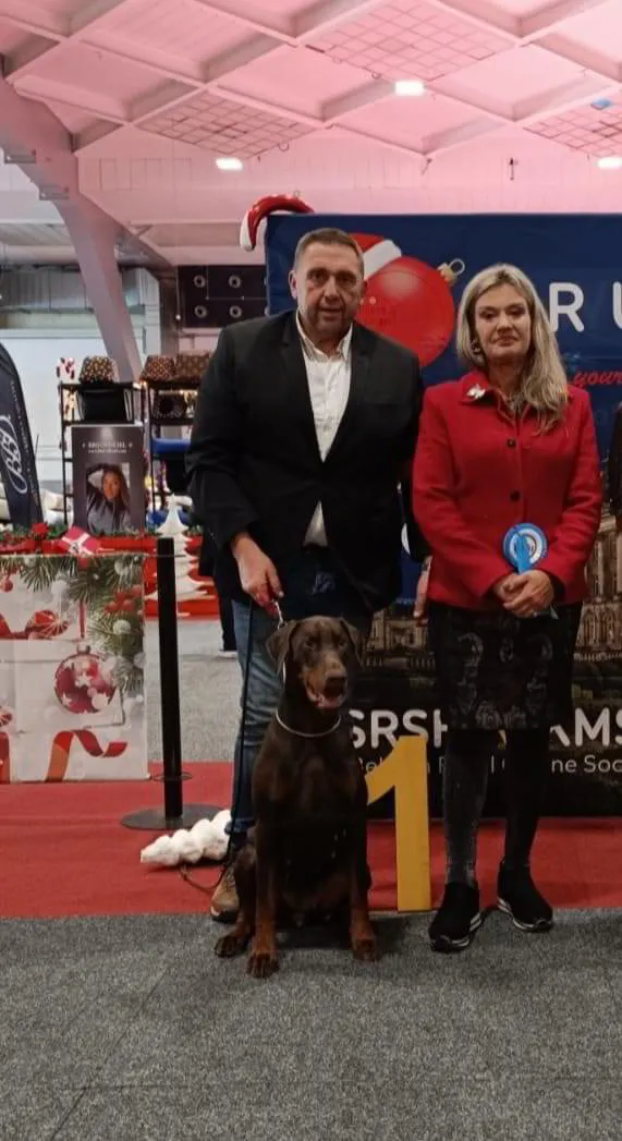 Koninklijke Belgische Dobermann Club - Show resultaten