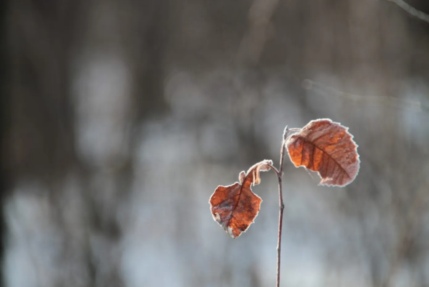 5 Unexpected Lessons I've Learned from My Fear of Ice