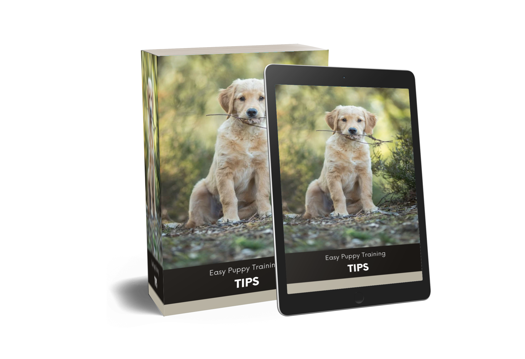 Easy Puppy Training Tips