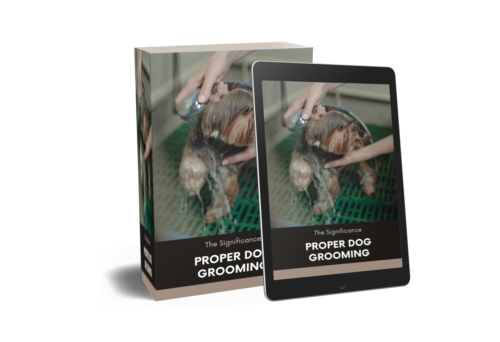 The Significance Of Proper Dog Grooming The Significance Of Proper Dog Grooming