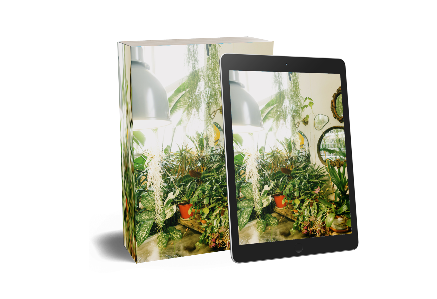 Indoor Garden Tips For Beginners Indoor Garden Tips For Beginners