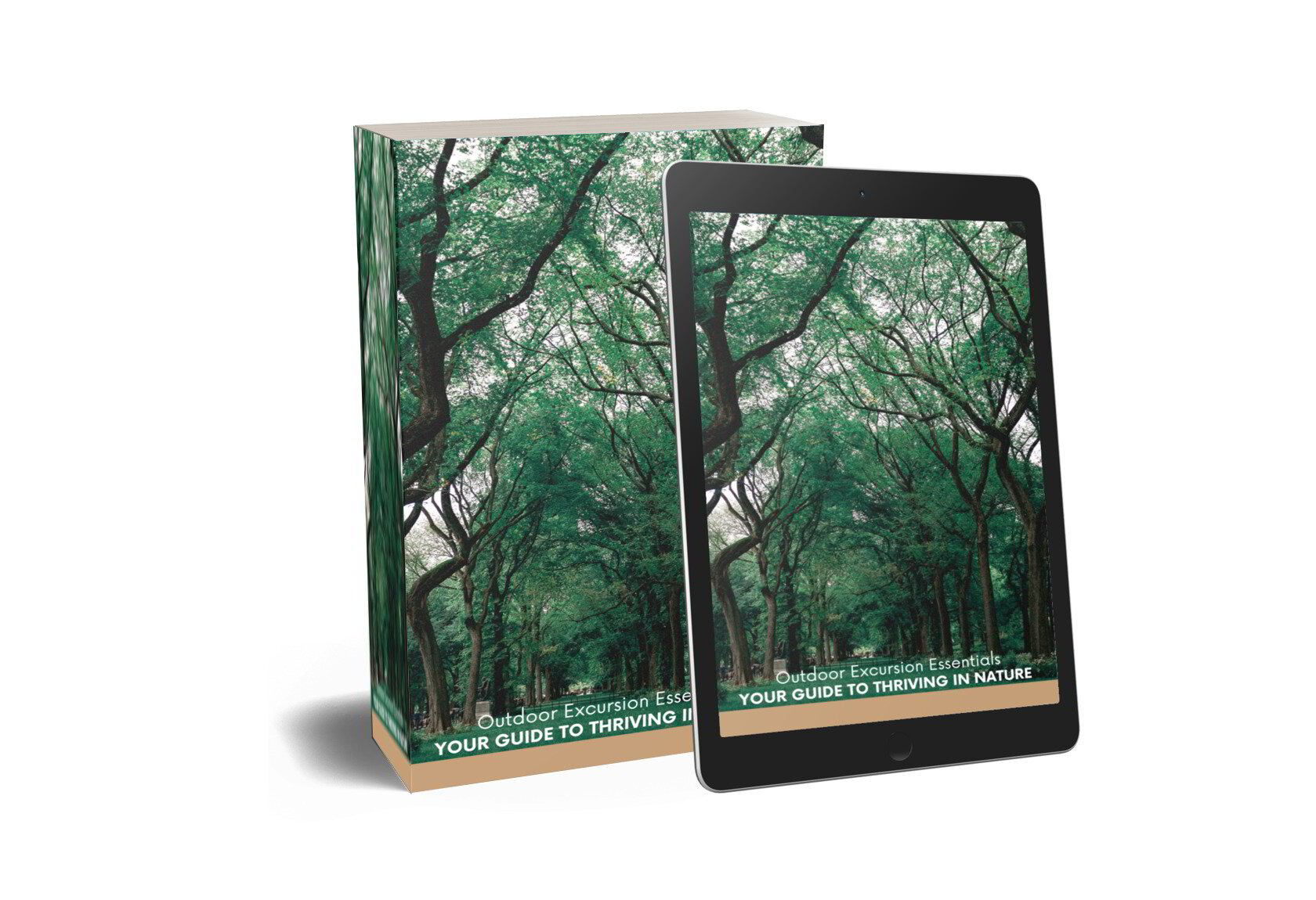 Outdoor Excursion Essentials Your Guide to Thriving in Nature