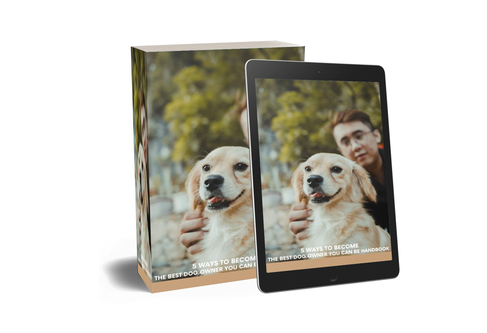 5 Ways to Become The Best Dog Owner You Can Be Handbook