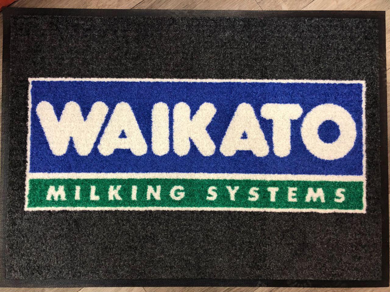 Durable & Eye Catching Custom Made Entrance Mats