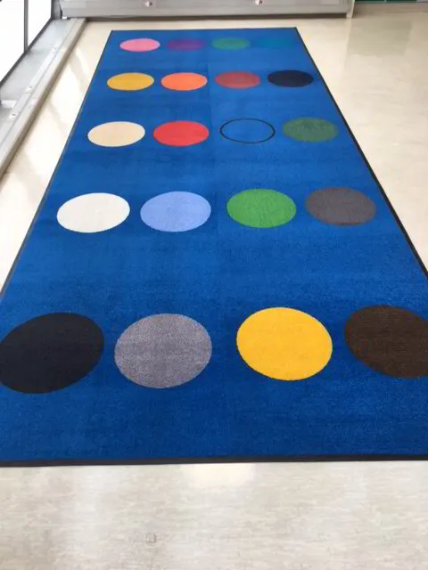 Various Types Of Matting For Schools