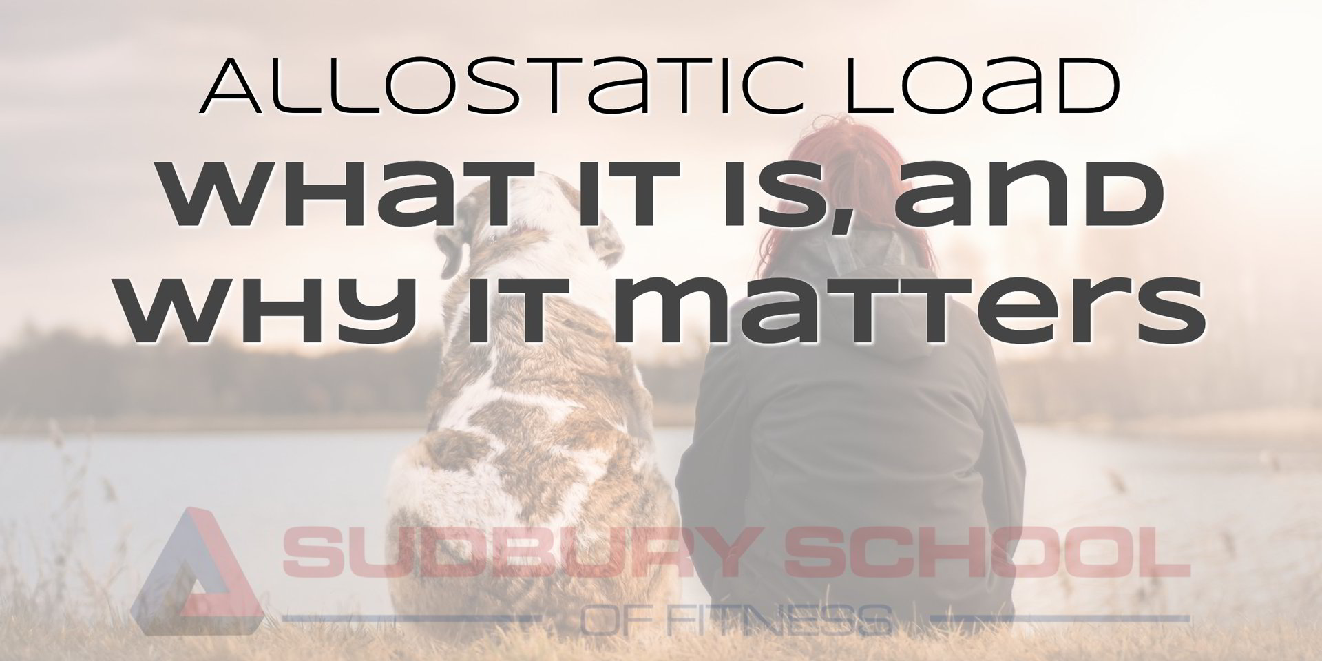 Allostatic Load - What it is & Why it matters