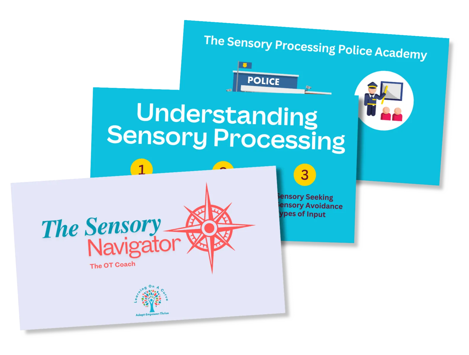 Sensory Processing Quiz