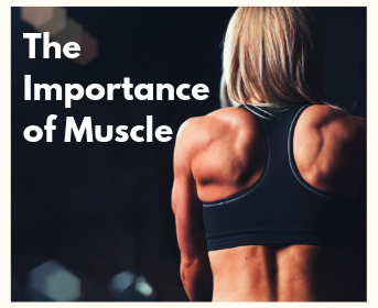 The Importance of Muscle