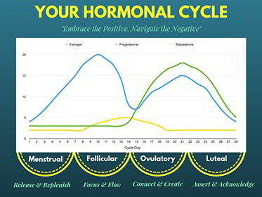 Navigating Your Cycle Week By Week