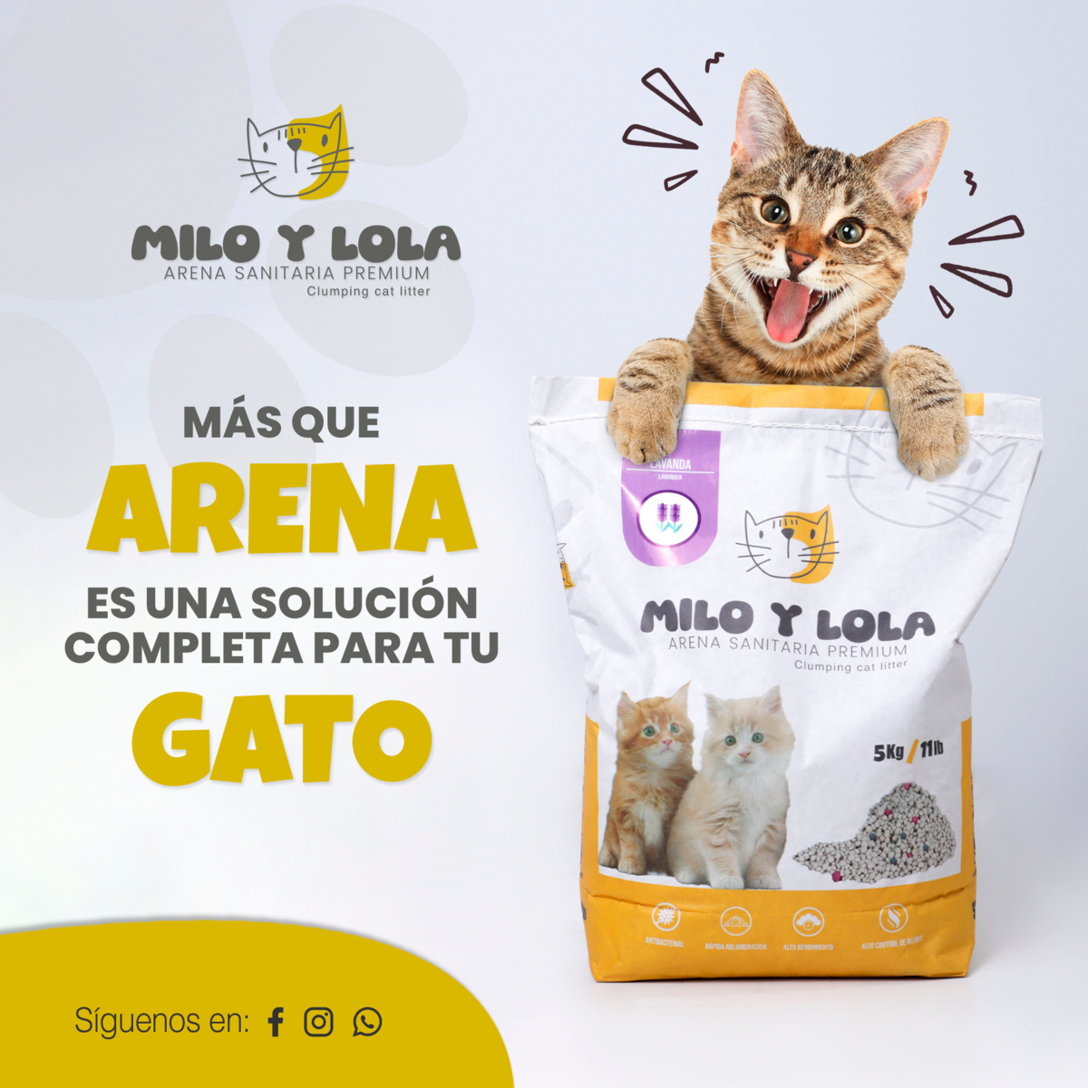 Arena Sanitaria Premium para Gatos