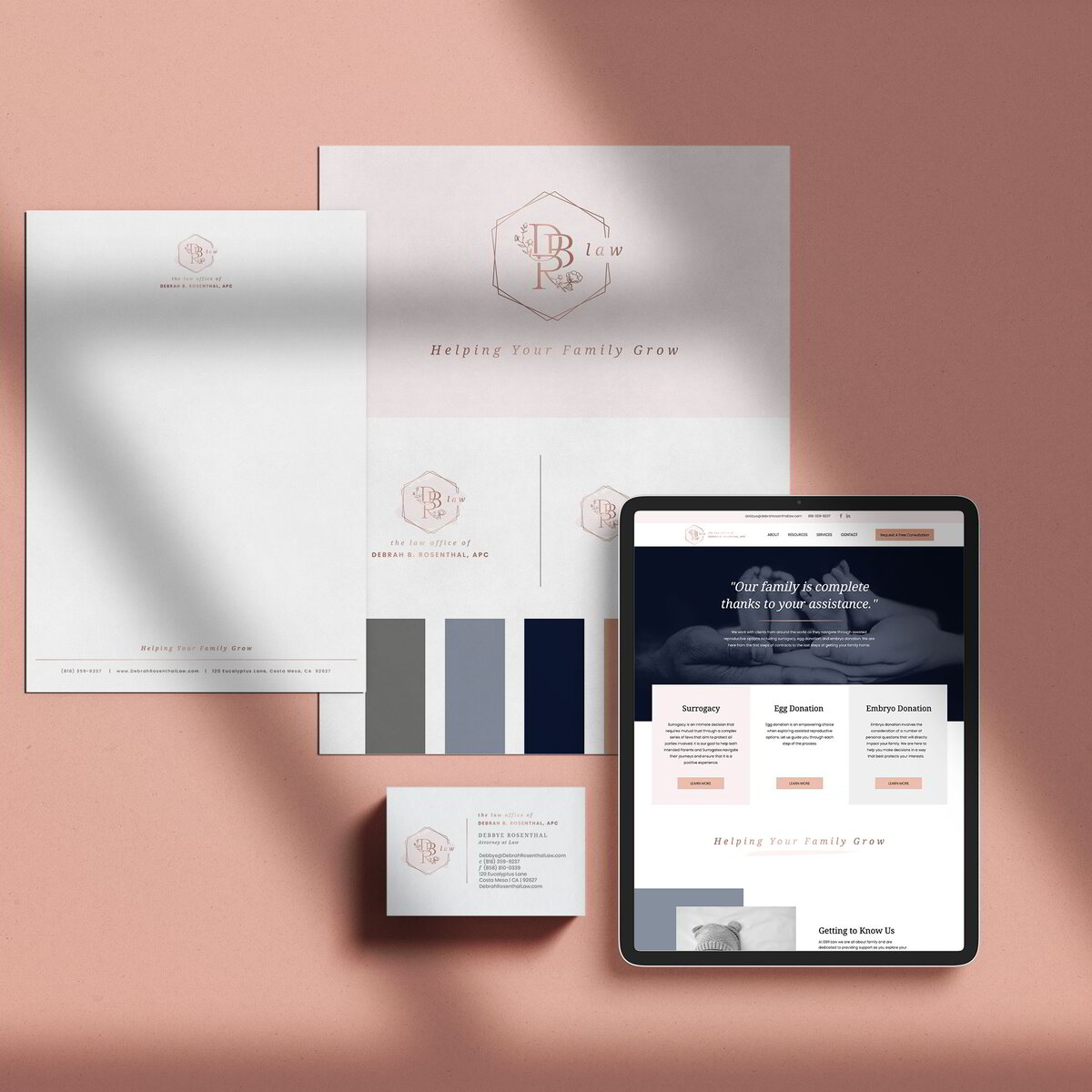 Essential Brand + Website