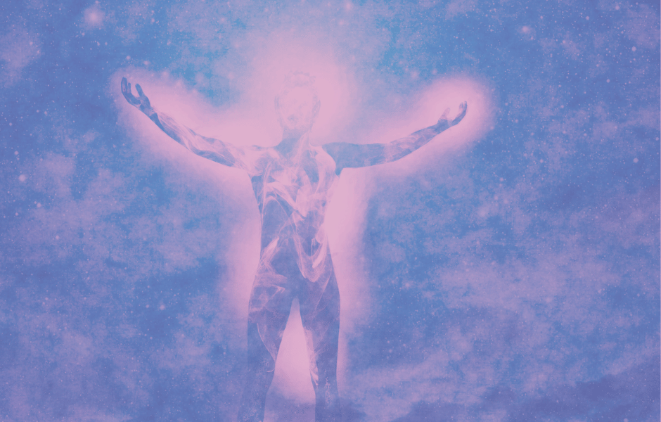 Transform Your Health With Human Bioenergetics: A Guide to Restoring ...