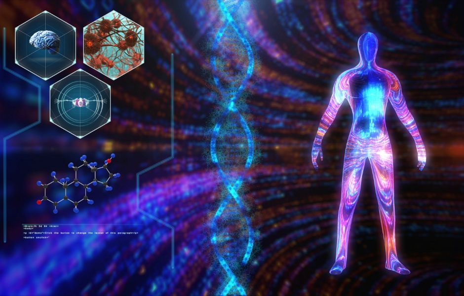 What is NES Health & What Can I Offer You as a NES Health Practitioner?