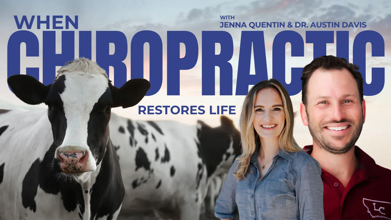 When Chiropractic Restores Life: Seizures, a Cow, and Simple Connection ...