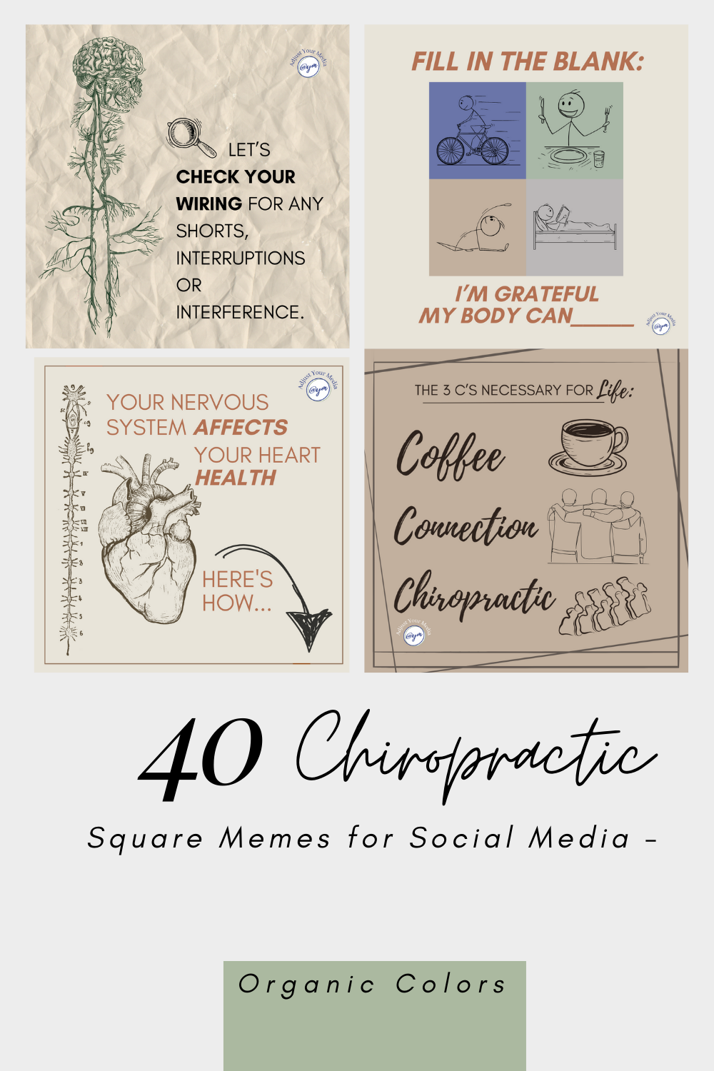 40 Educational Boho Colors Chiro Memes *NEW 4:5 RATIO