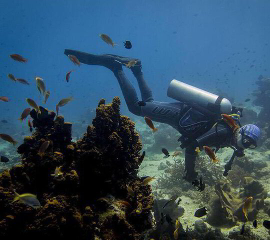 Puerto Galera Activities | Fun Adventures | Fun Activities