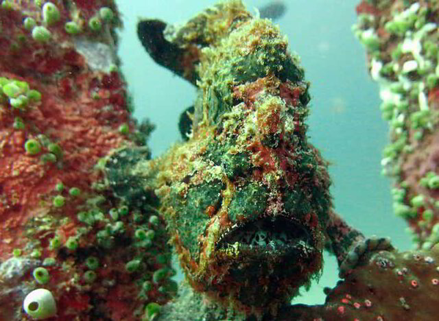 Puerto Galera Scuba Diving | Badladz Dive Resort