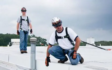 Alva Group | Occupational Health & Safety Specialists | Heights Training