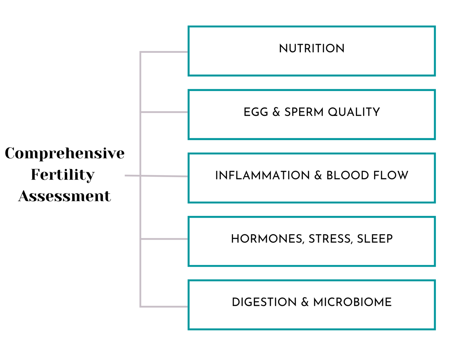 Vancouver Naturopathic Fertility Care Method - Dr. Ashley Damm, ND
