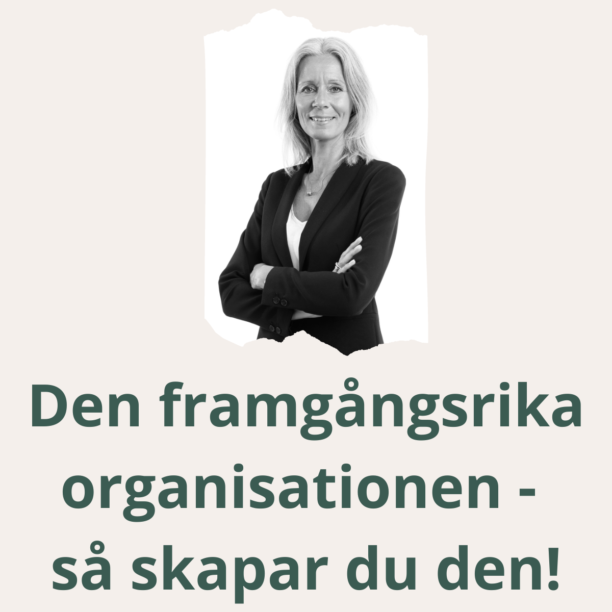 Vad krävs för att skapa en framgångsrik oirganisation?