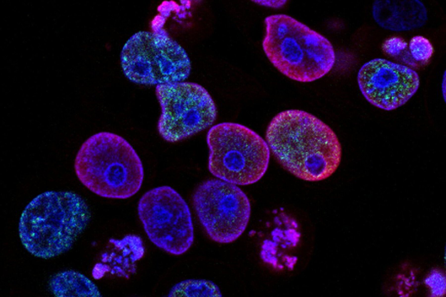 Functional Lab Testing for Understanding Your Health | Depth Wellness