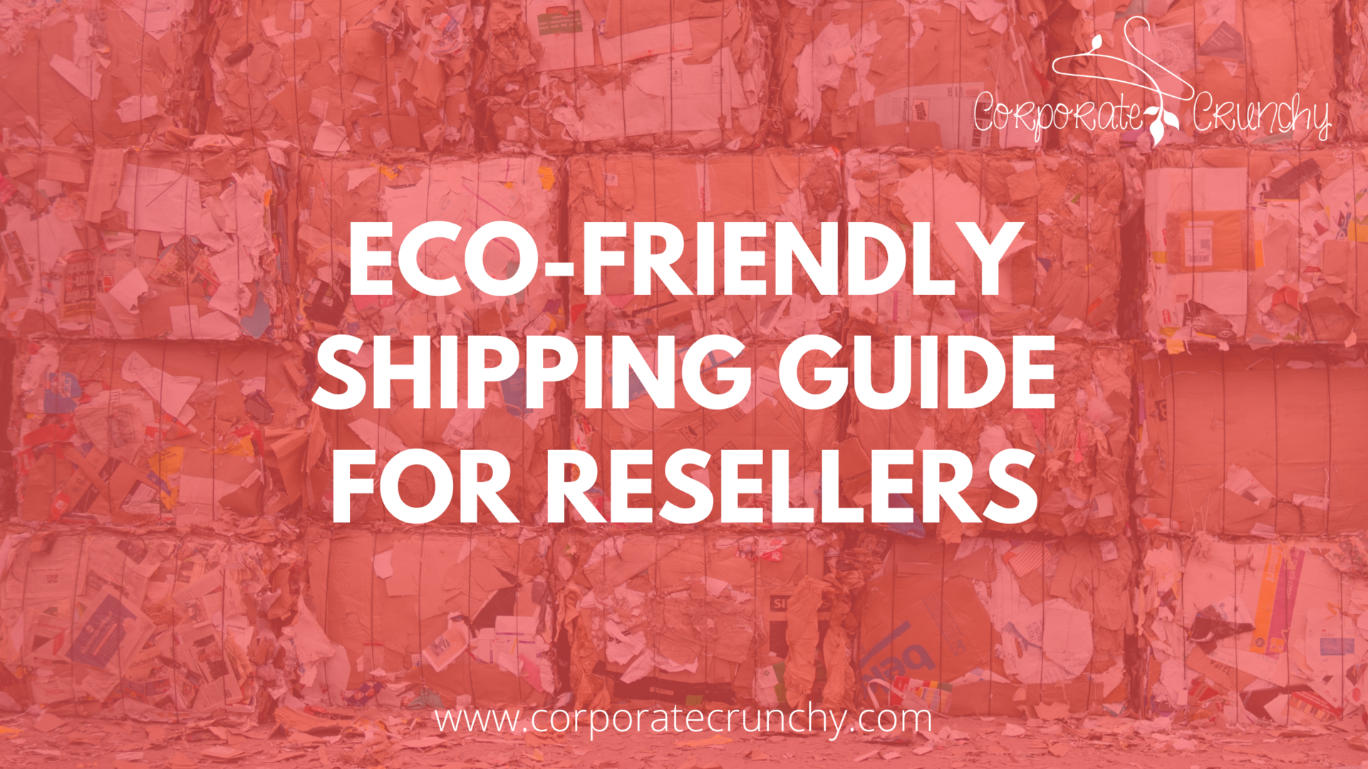 Eco-Friendly Shipping Guide for Resellers