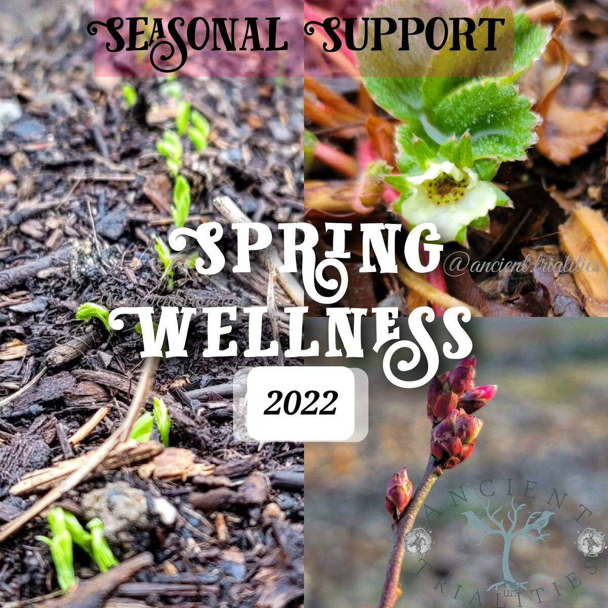Spring Wellness
