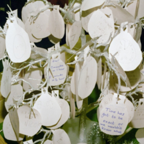 A Step by Step Guide to Using a Talking and Thinking Tree