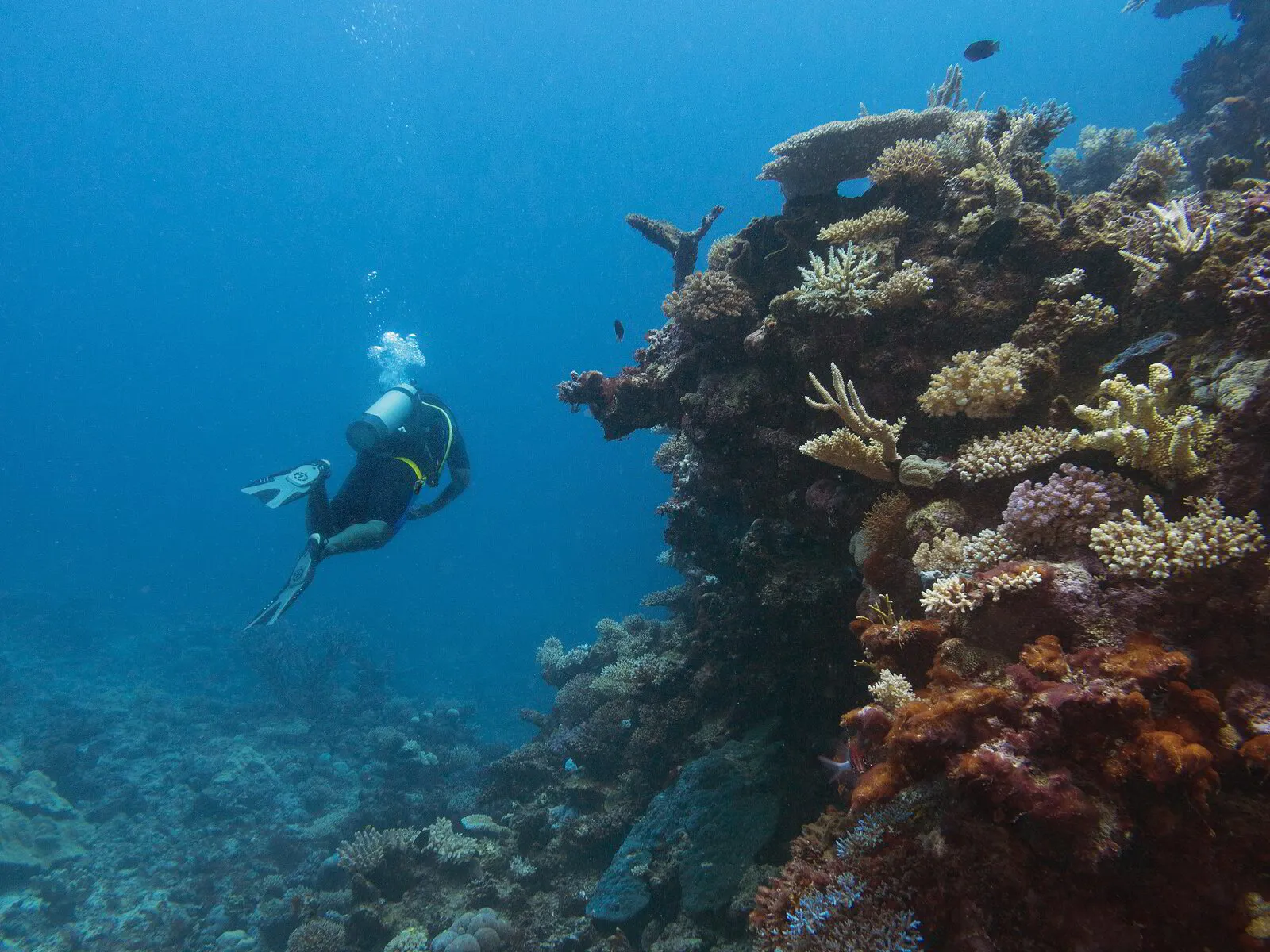 Home | Oneta Resort Fiji | Small and remote family run eco resort ...