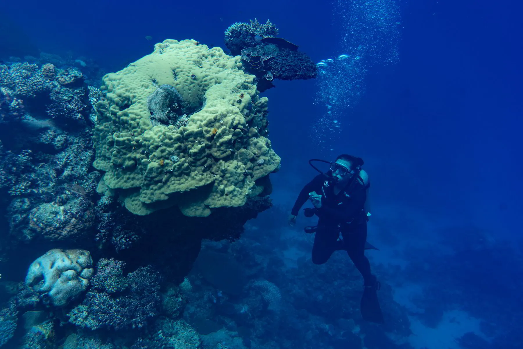 Home | Oneta Resort Fiji | Small and remote family run eco resort ...