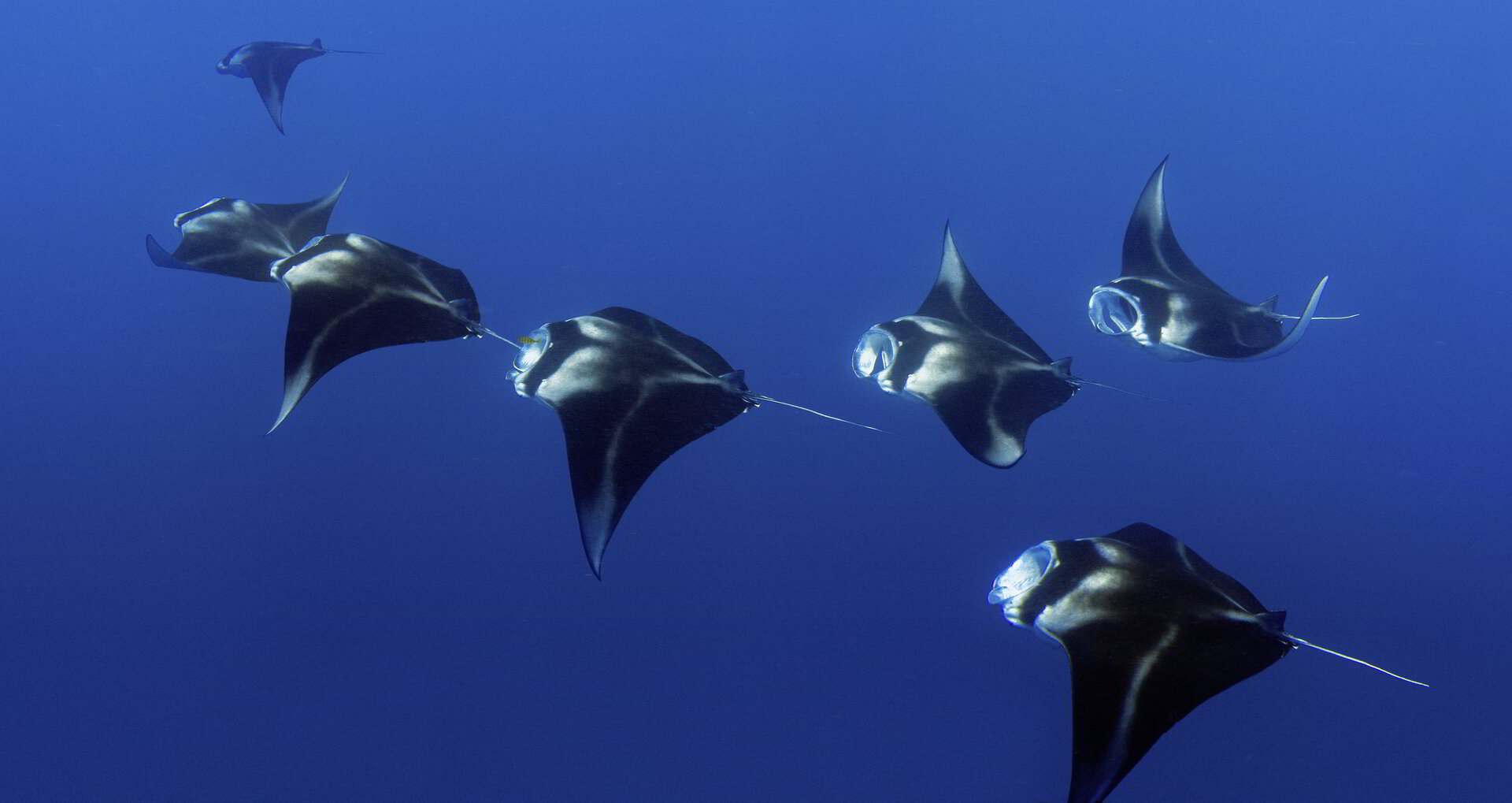 Home | Oneta Resort Fiji