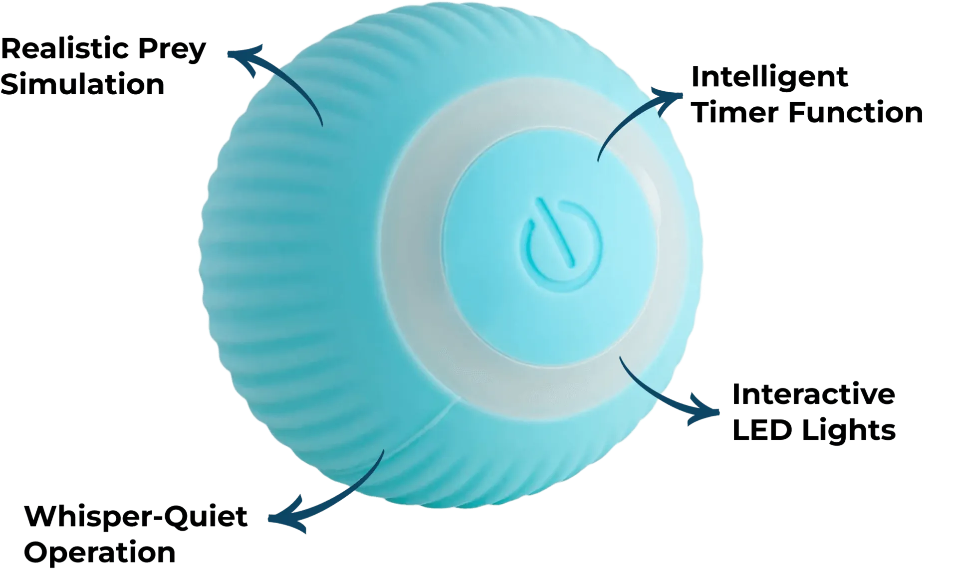 Kitty Roll Interactive Ball