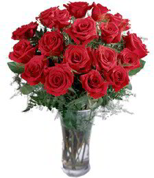 Shop arrangements of the best-looking flowers: Flowers D&Y