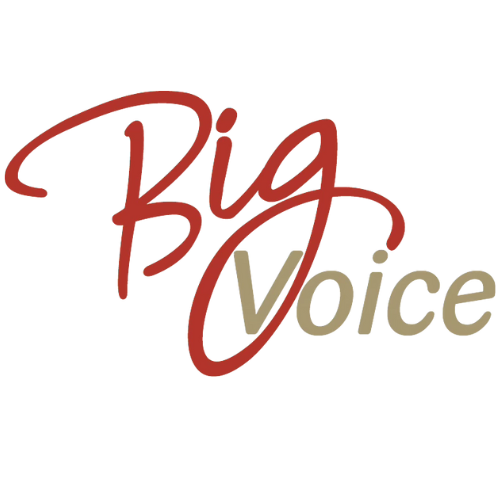 Big Voice Magazines