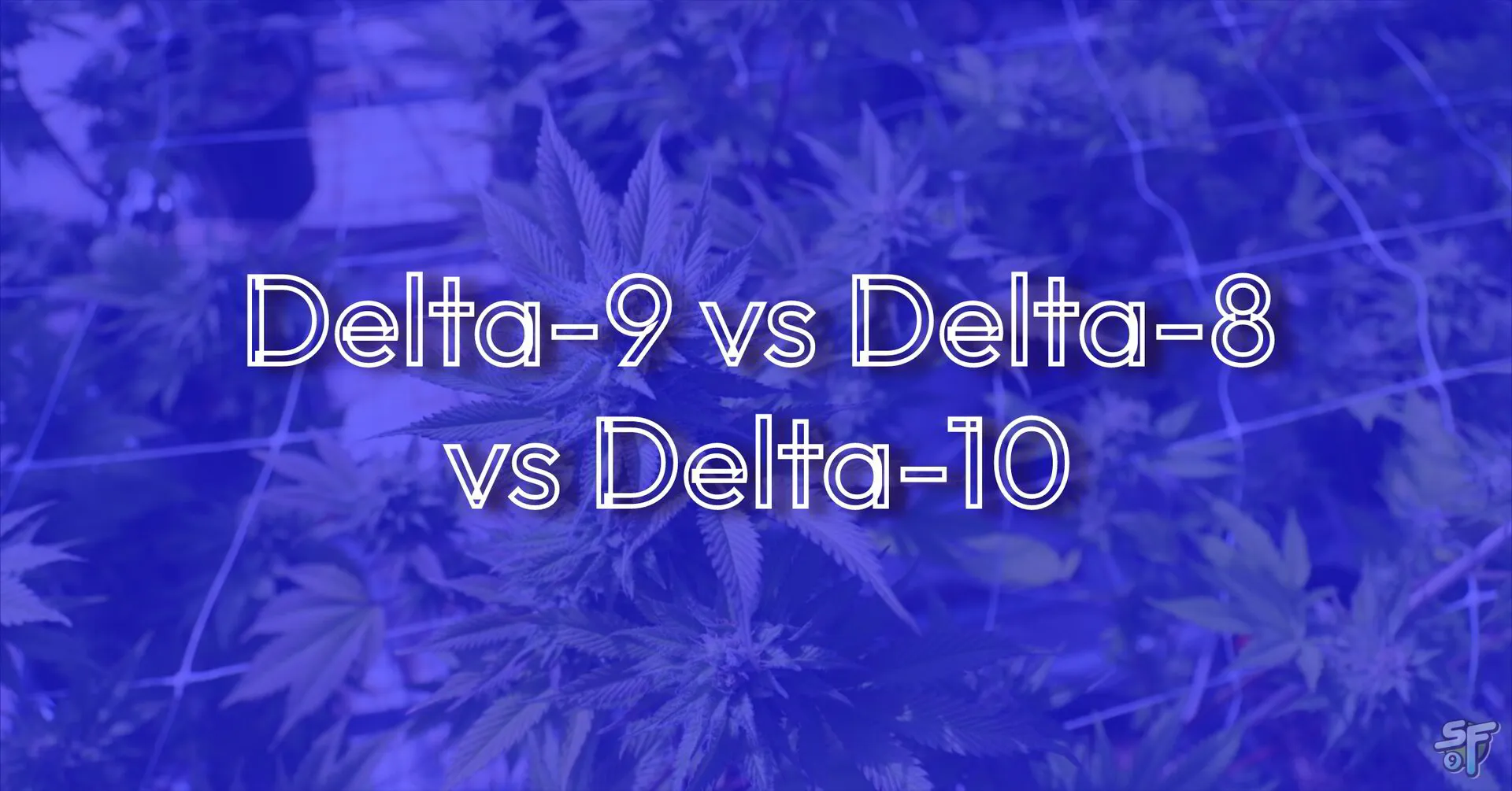 Delta-10, Delta-8, or Delta-9: Which One Will Take You on a Psychedelic ...