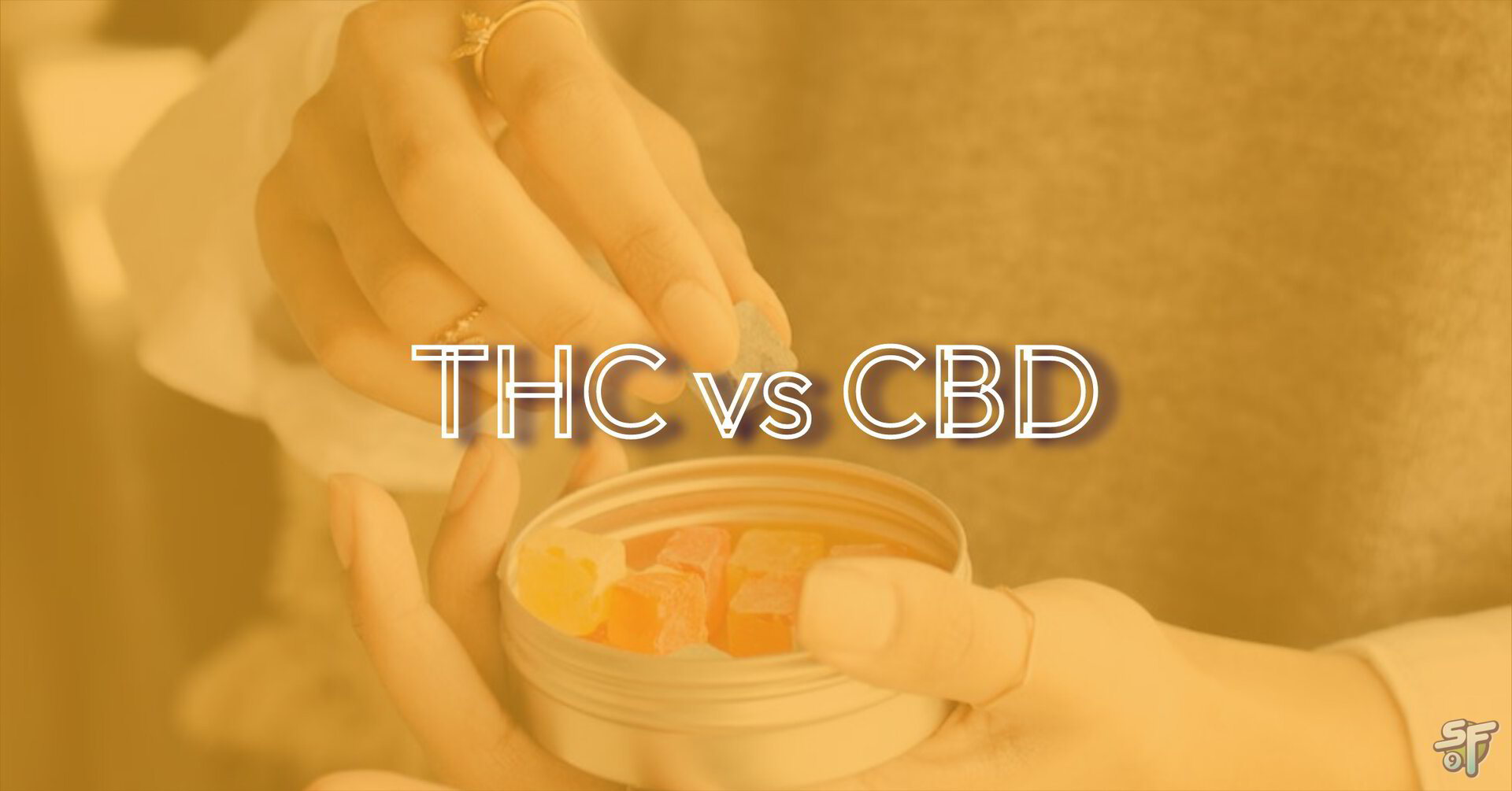 THC vs CBD - Everything You Need To Know