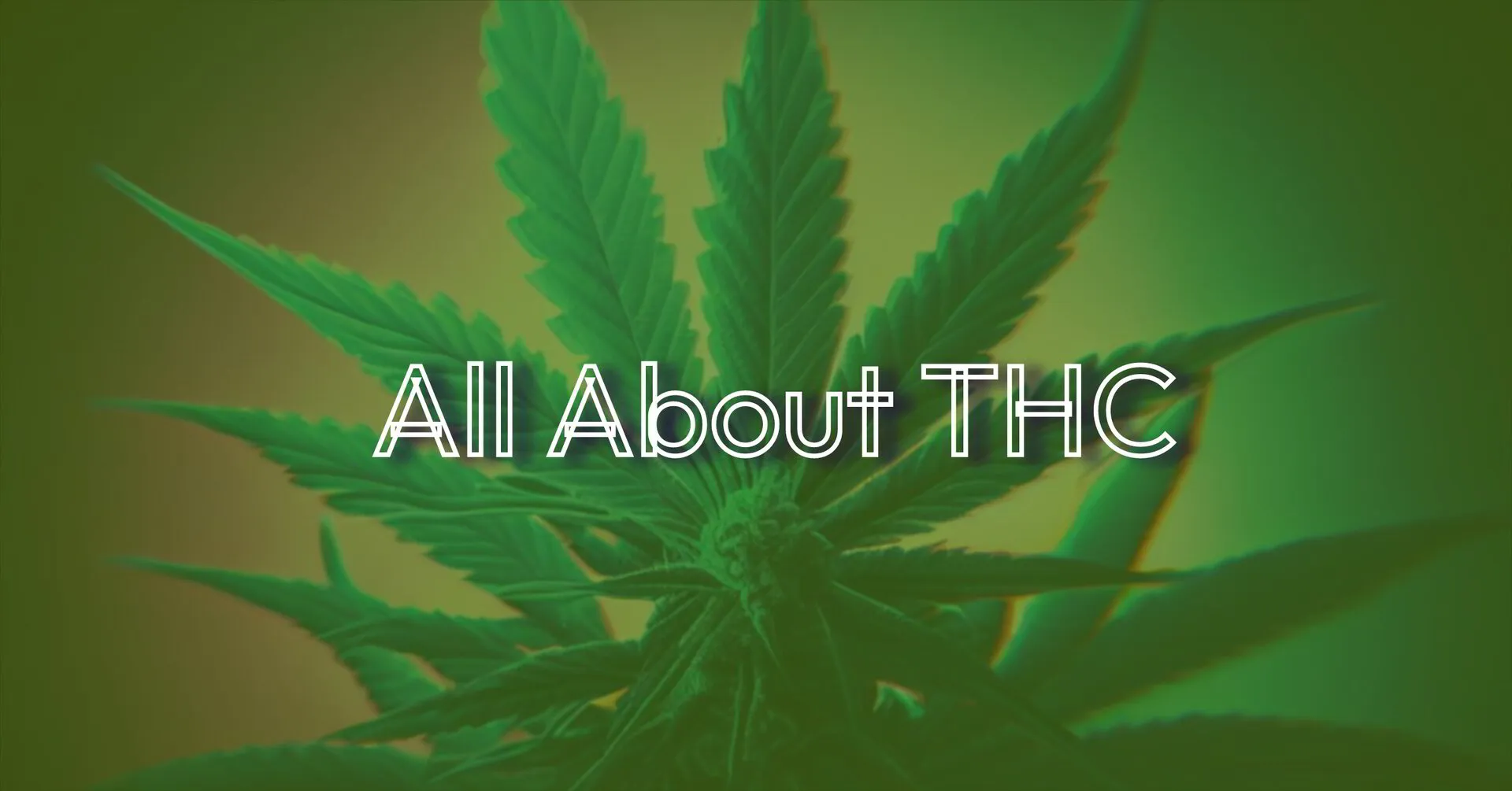 New to the world of THC? Dive into the Adventure for Beginners!