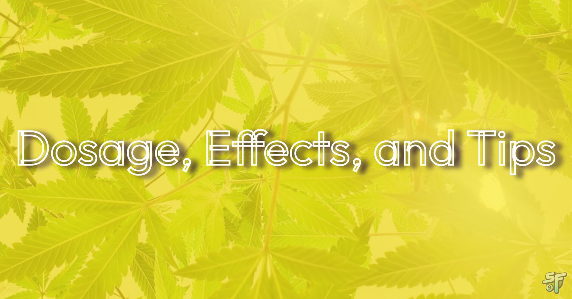Getting the Most Out of Delta 9 Edibles: Dosage, Effects, and Safety Tips