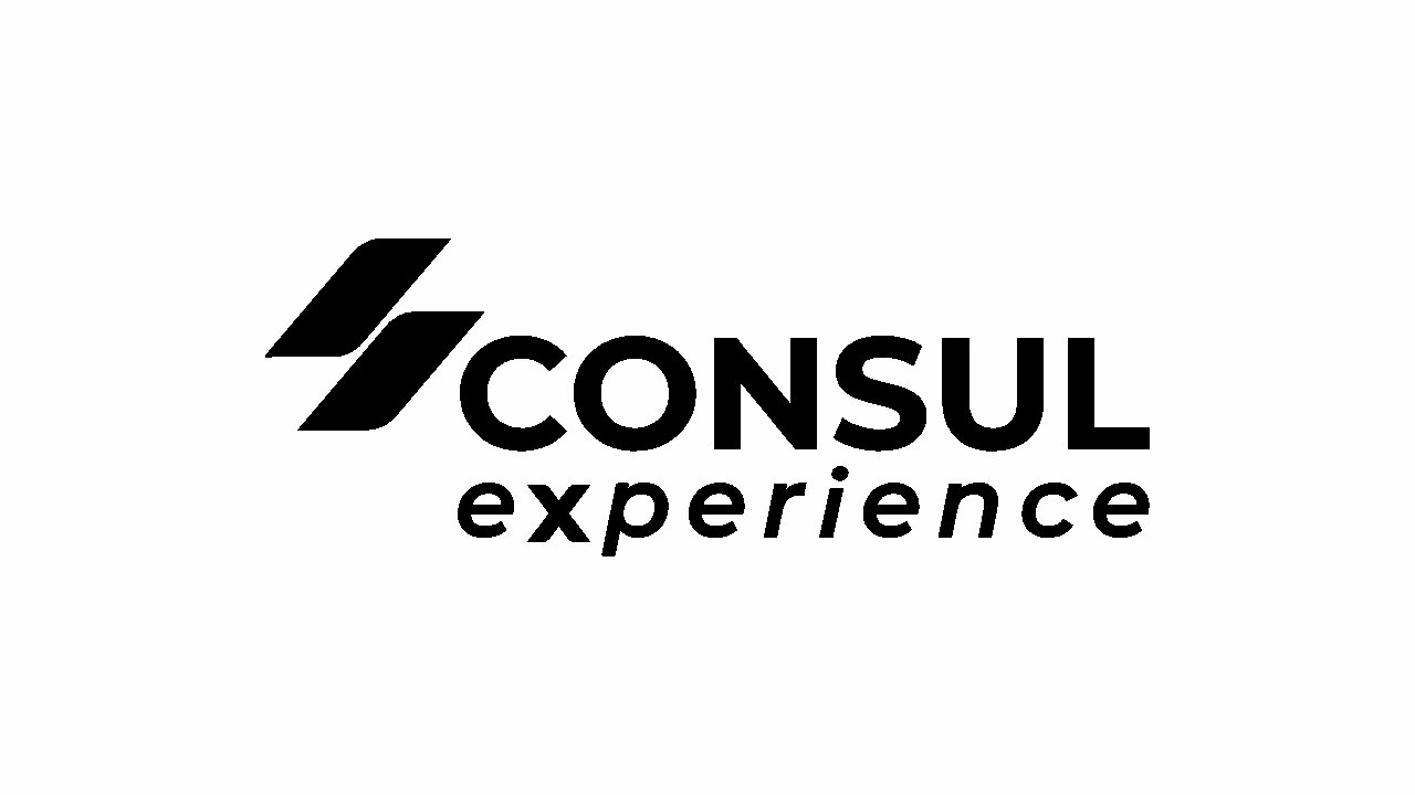 Consul Experience