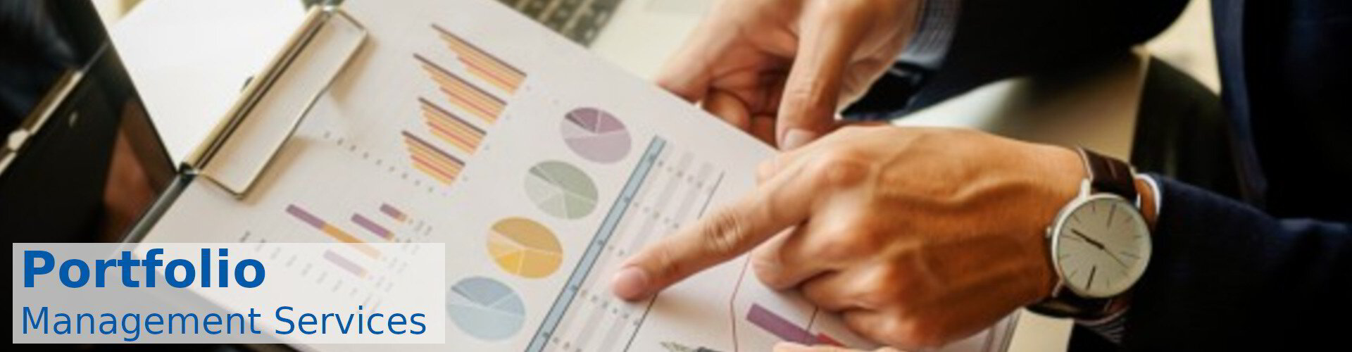 Portfolio Management Services