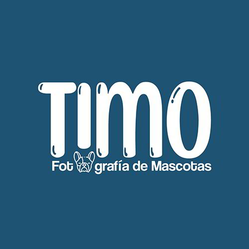 Timo Fotografía de Perros y Gatos