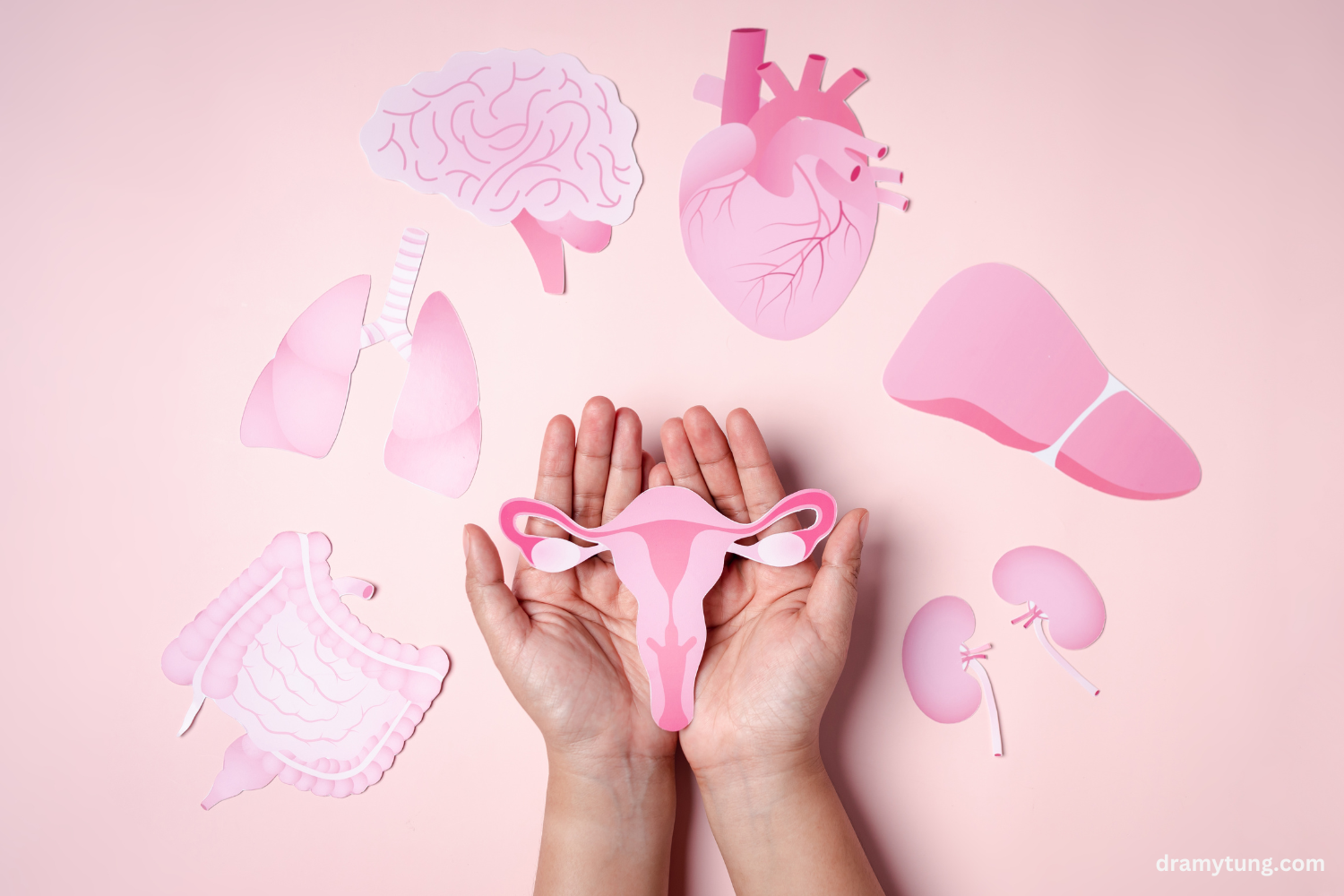 Iron Deficiency Anemia: The Risks in Heavy Menstrual Bleeding and Its Impact on Energy, Exercise ...