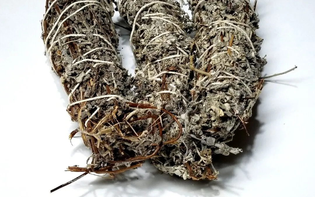 Imphepho Herb (Comes in small bags)