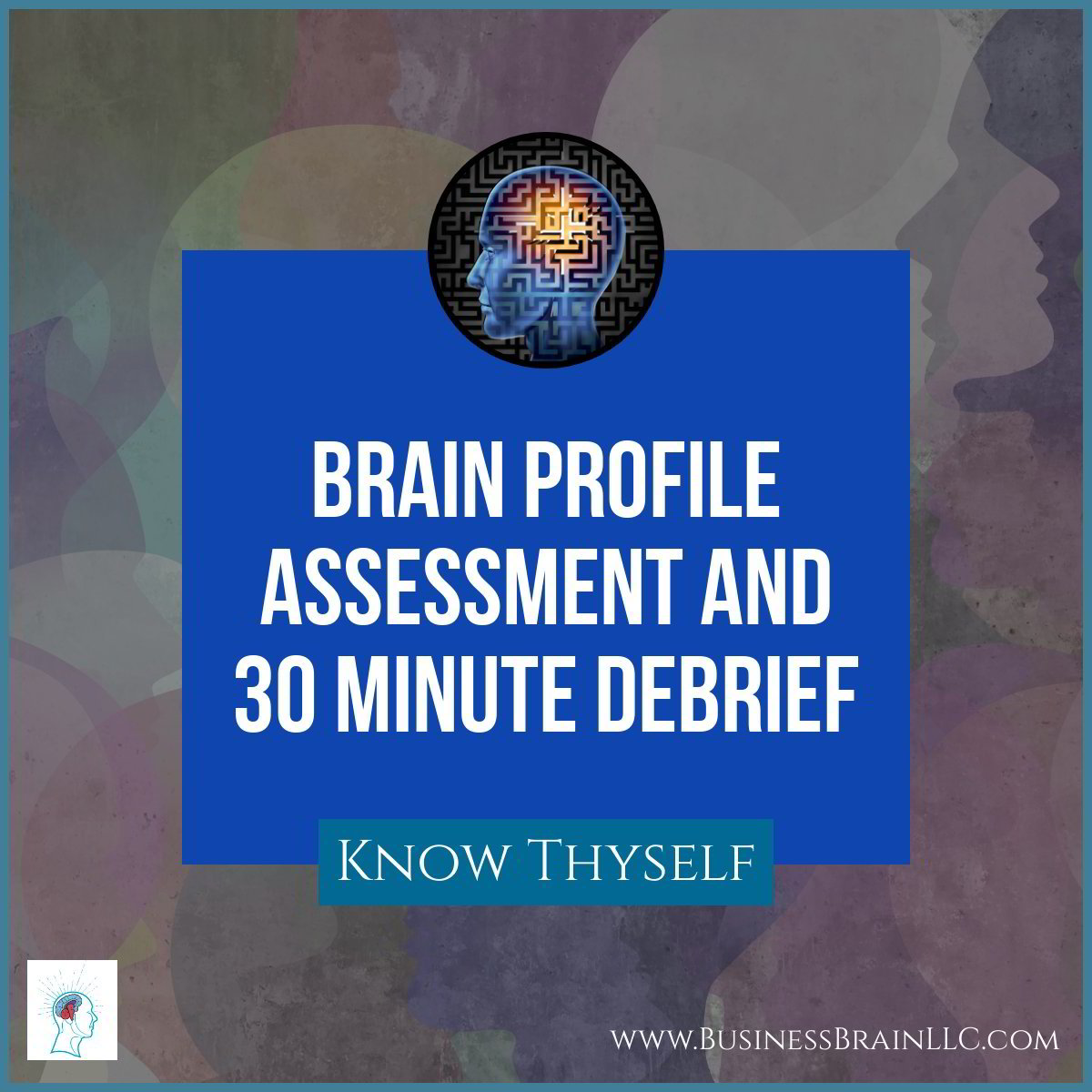 Brain Style Assessment with Video Coaching Debrief BASIC
