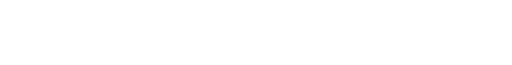 Purple Turtle Fiji | Transfers to and from Matamanoa Island