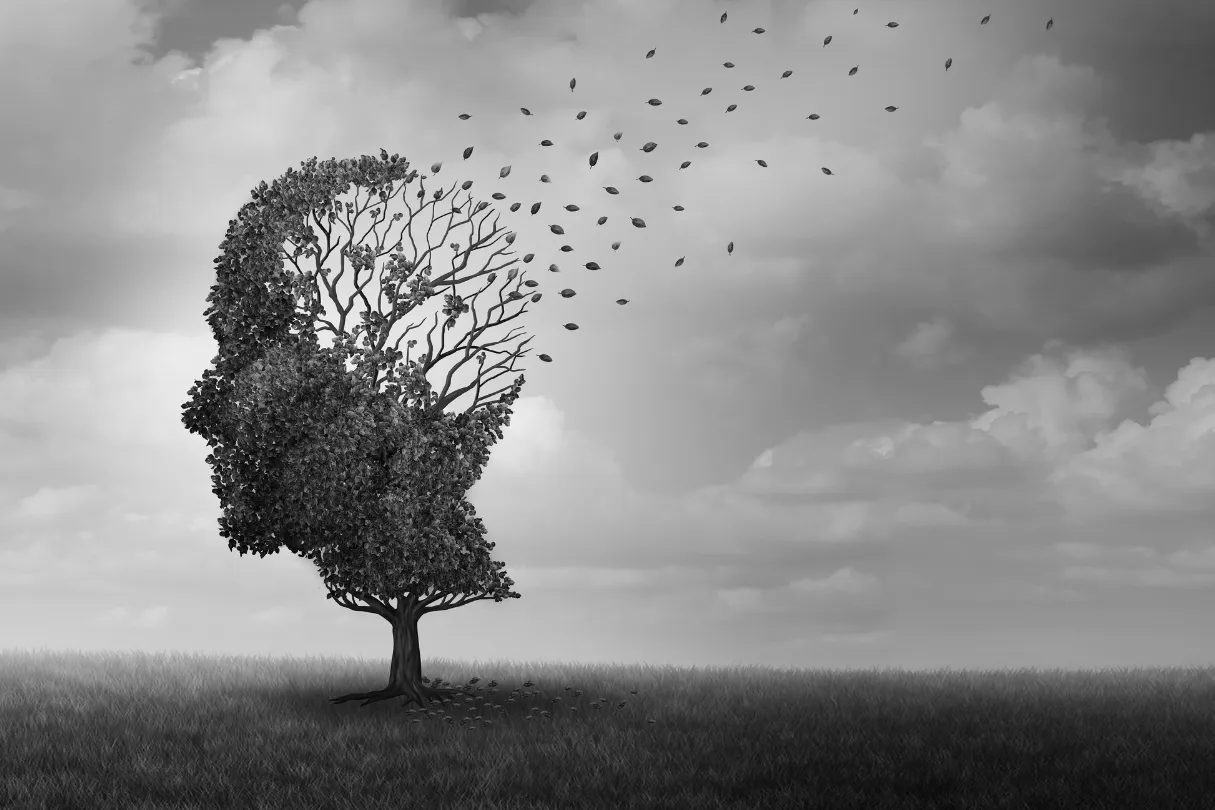 Menopause and Memory: How Hormones Influence our brain health and ...
