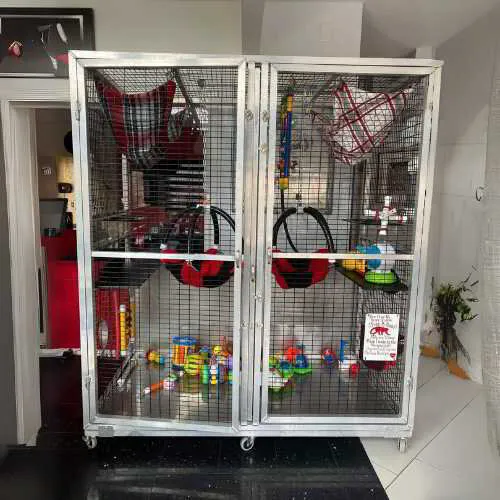Custom Primate Cages
