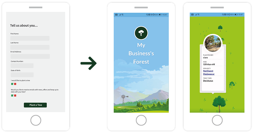 Eco business solution to data capture from The Billion Trees Project