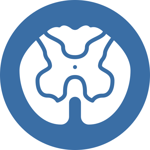 Andrew Merola, MD | Best Spine Surgeon in New York City